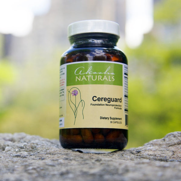 Cereguard Plus - Brain Food - 90 Capsules – Akasha Naturals